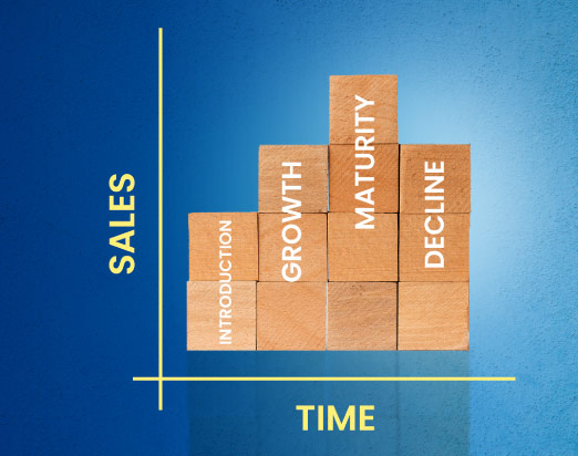 Strategic Compensation: Driving Organizational Growth Across Stages ...